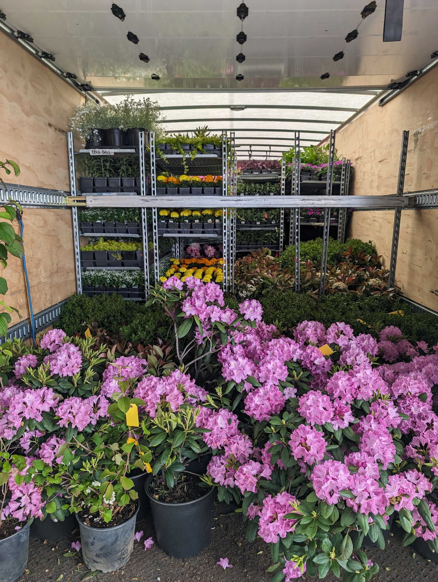 Second Chance Plants - Pop-Up Garden Center