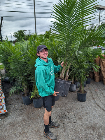 Second Chance Plants - Pop-Up Garden Center